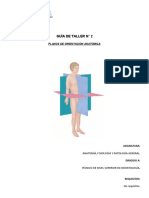 Términos de Relación, Comparación y Lateralidad de Anatomía | PDF ...