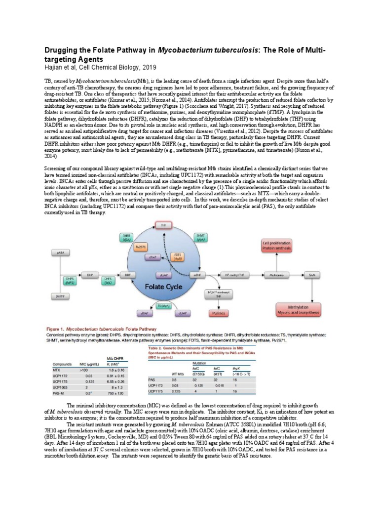 The Folate Pathway | PDF | Biology | Biochemistry