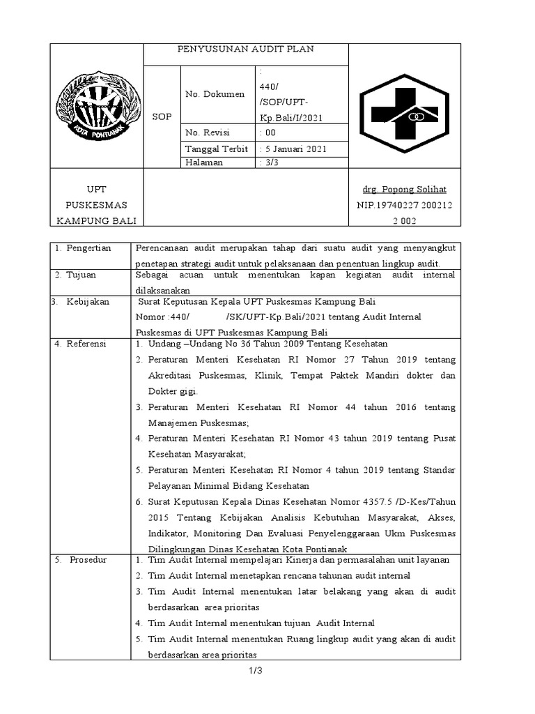 Sop Audit Plan | PDF