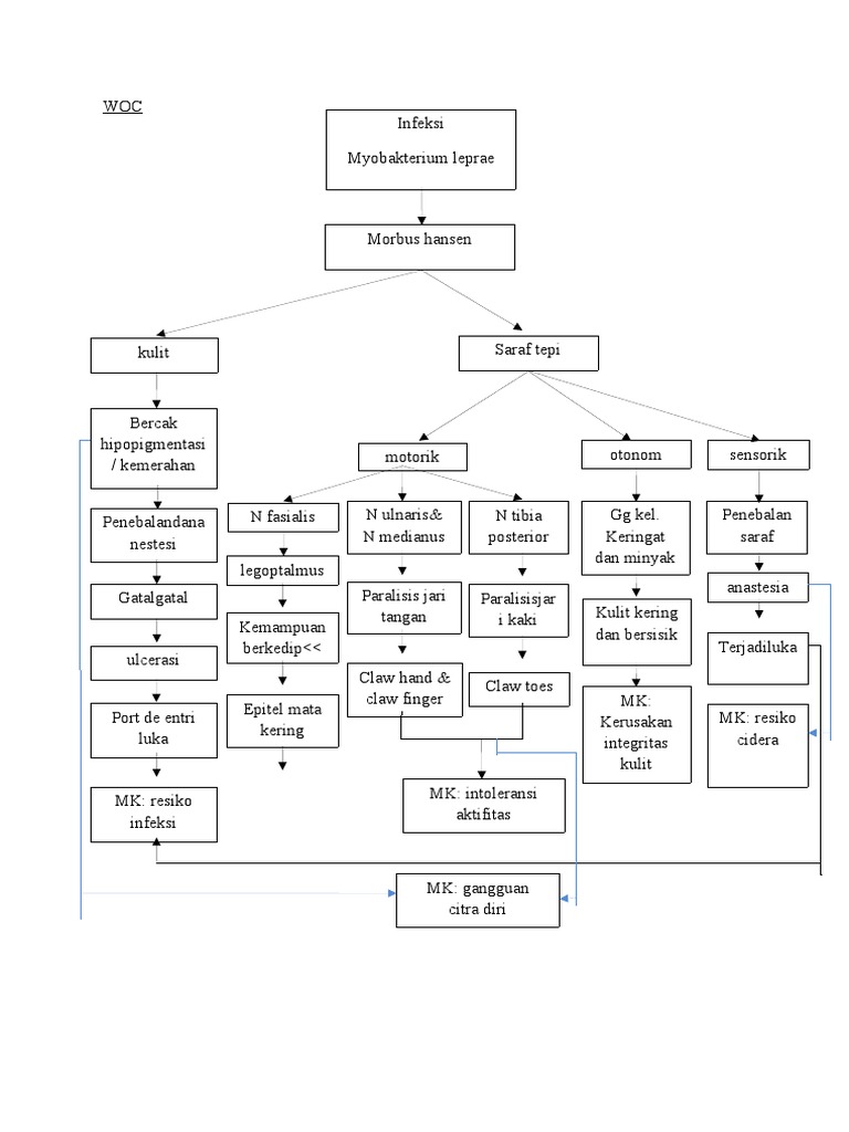 Morbus Hansen dan Gejalanya | PDF