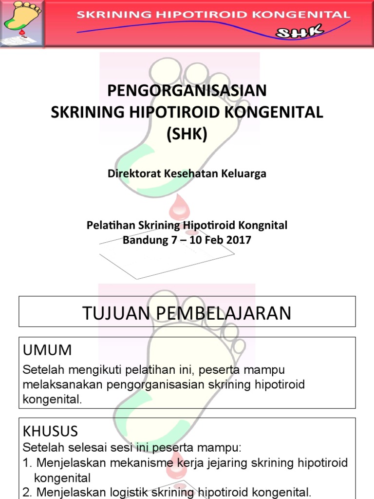 Pengorganisasian SHK Angk 2 | PDF