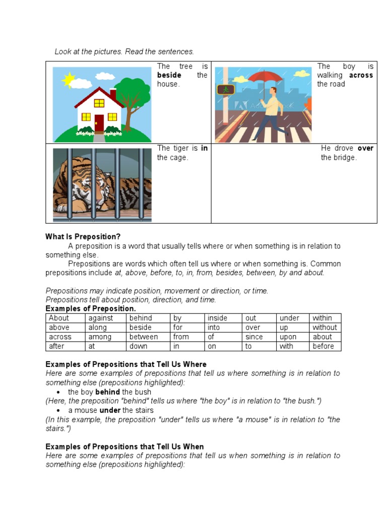 What Is Preposition | PDF | Preposition And Postposition | Scientific Classification