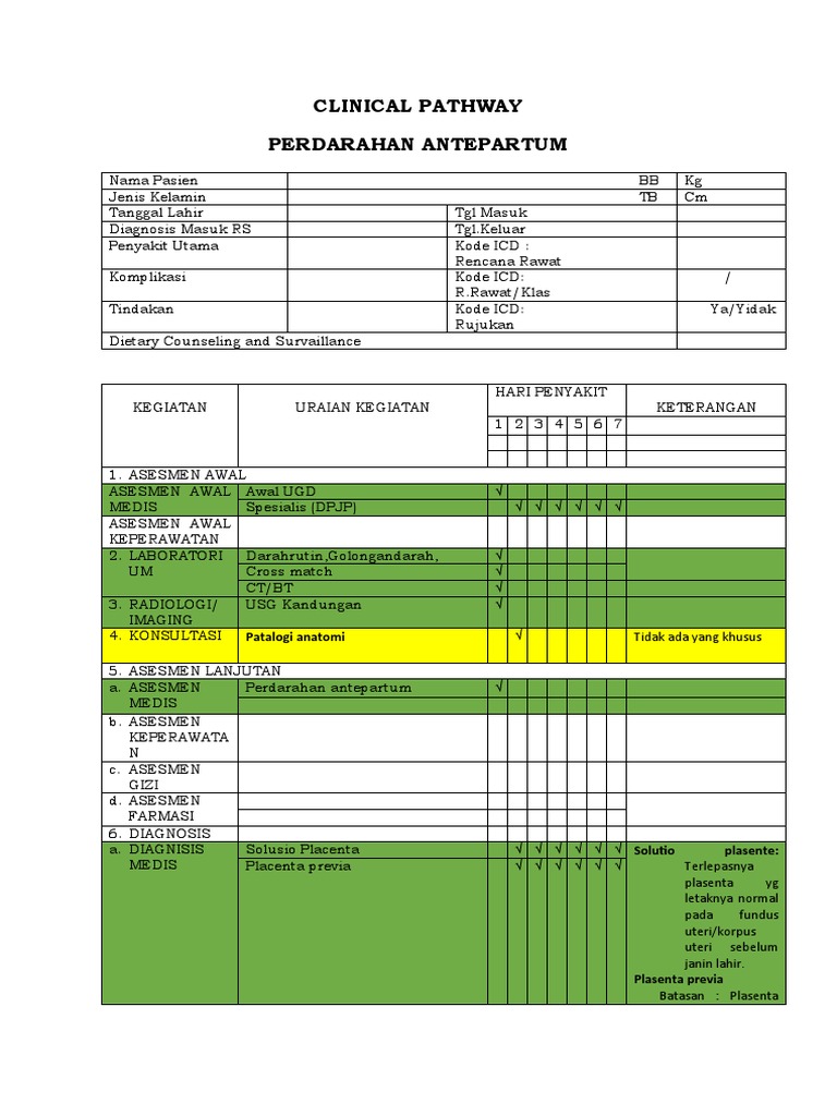 Rencana Penanganan Perdarahan Antepartum | PDF