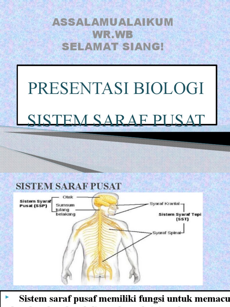Ppt. Sistem Saraf Pusat | PDF