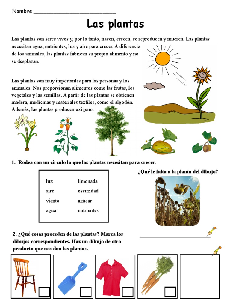 Las Plantas Story Spanish | PDF