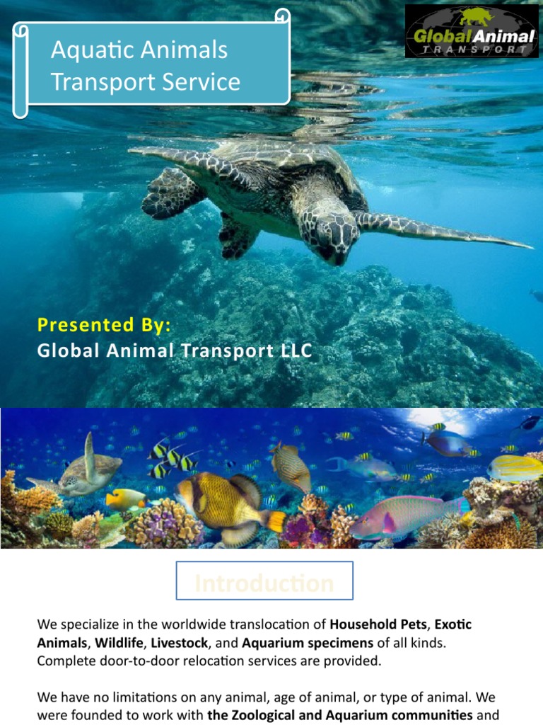 Aquatic Animals Transport Service | PDF