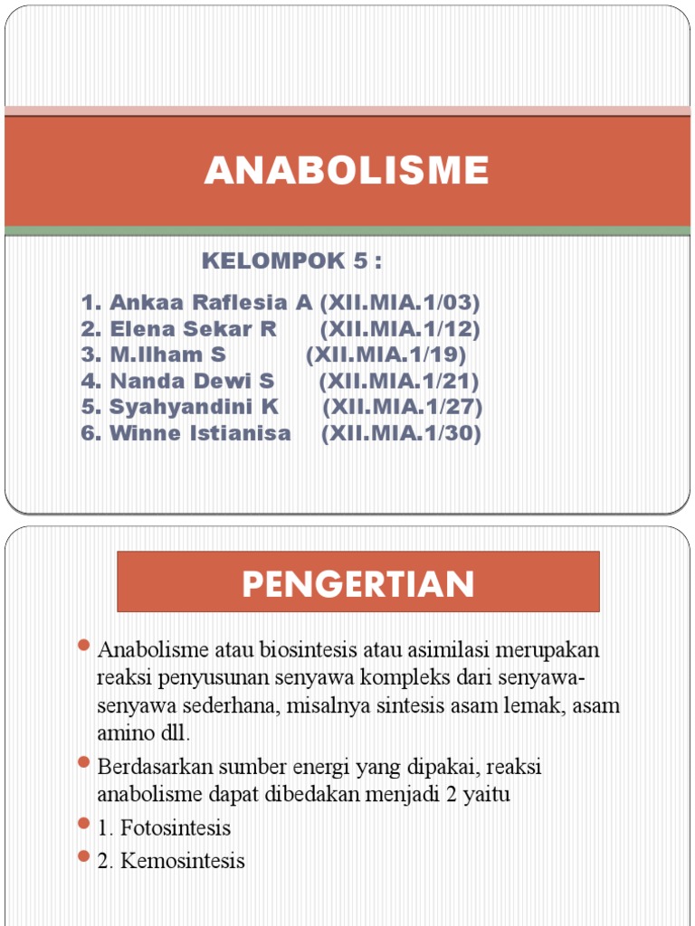 Anabolisme PPT | PDF