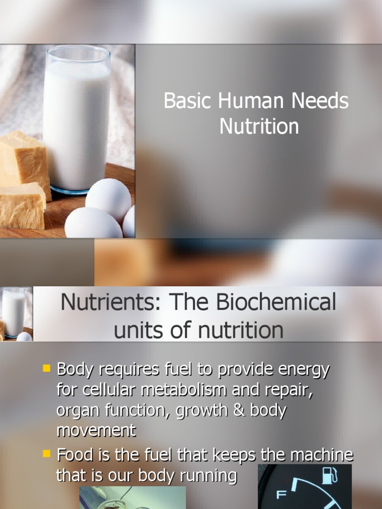 Basic Human Needs - Nutrition | PDF | Carbohydrates | Fat