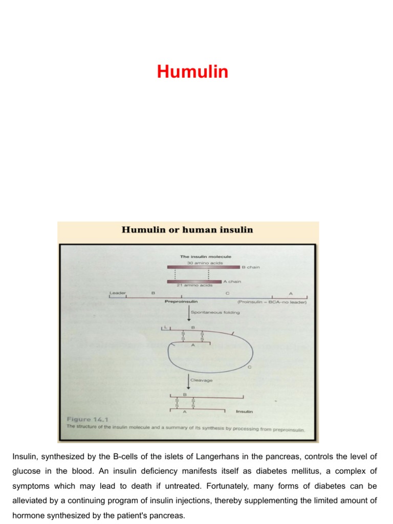 Humulin | PDF | Insulin | Glycogen