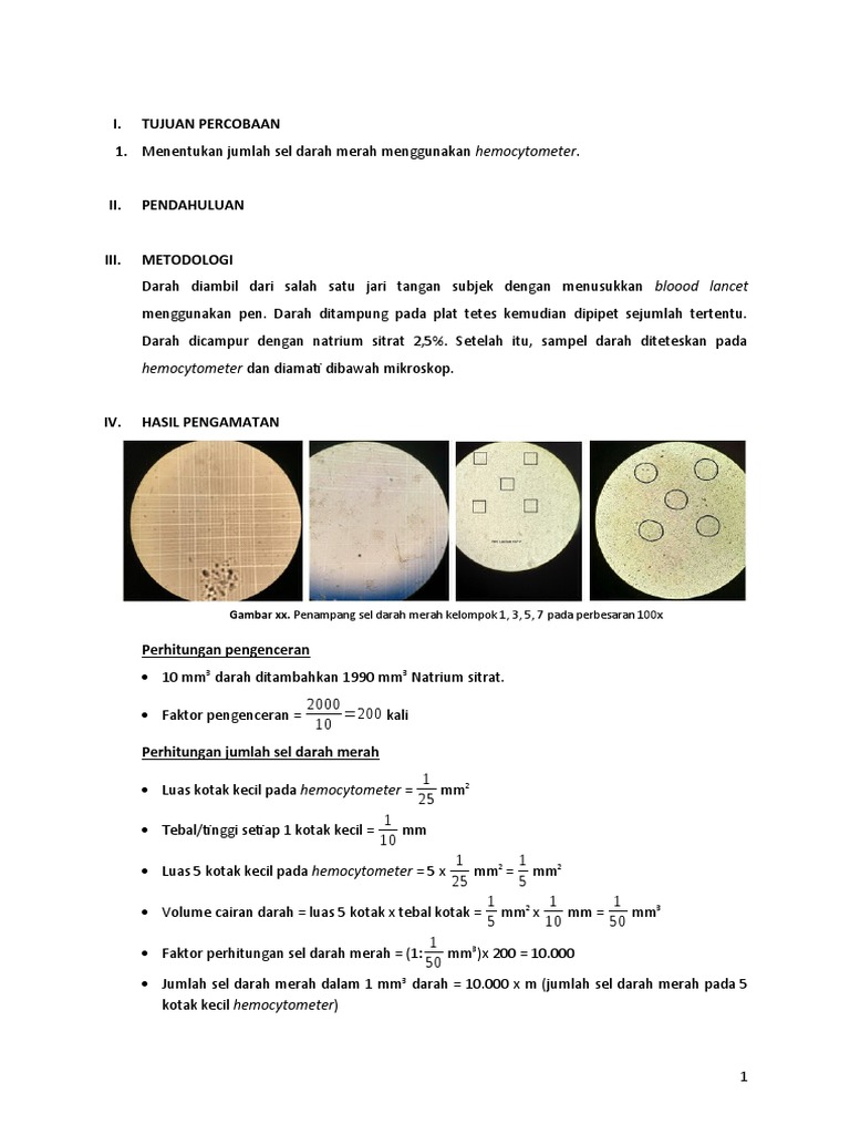 Rbc Count Pdf