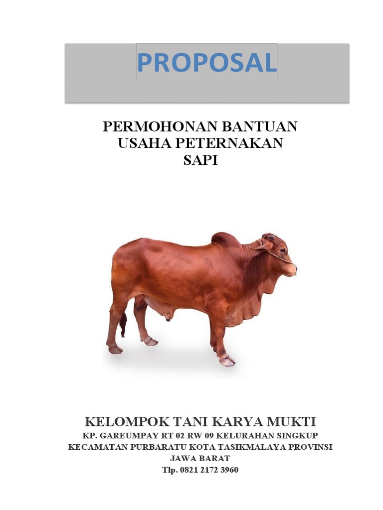 Proposal Sapi Pak Jupri Putra Parhon | PDF