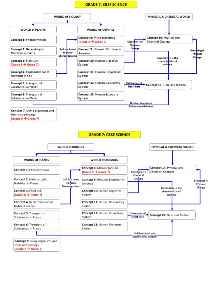 Mind Map Grade 7 | PDF | Nutrition | Diet & Nutrition