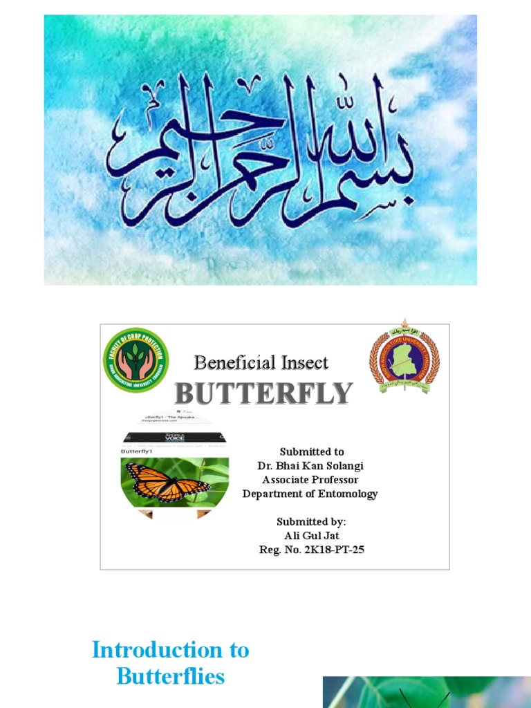 Introduction to Butterflies and Their Role | PDF | Science & Mathematics