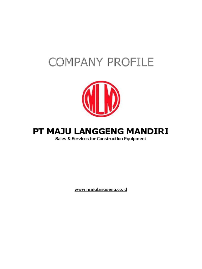 Company Profile New | PDF