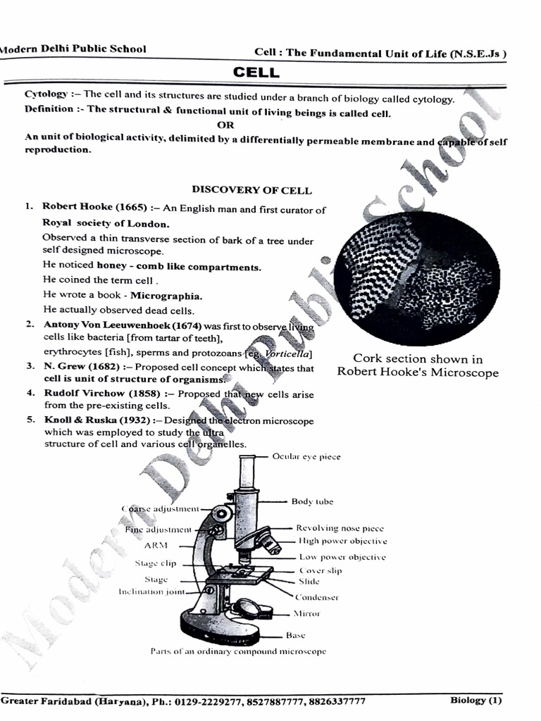 Cell Class 9 NSEJS Notes | PDF | Cell Membrane | Osmosis