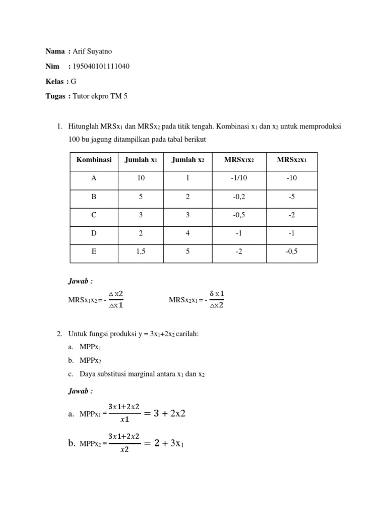 Analisis MRS dan MPP dalam Fungsi Produksi | PDF