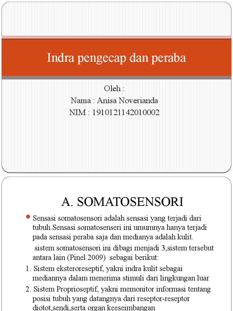 Indra Pengecap Dan Peraba | PDF