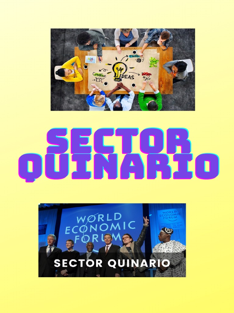 Sector Quinario de La Economía | PDF