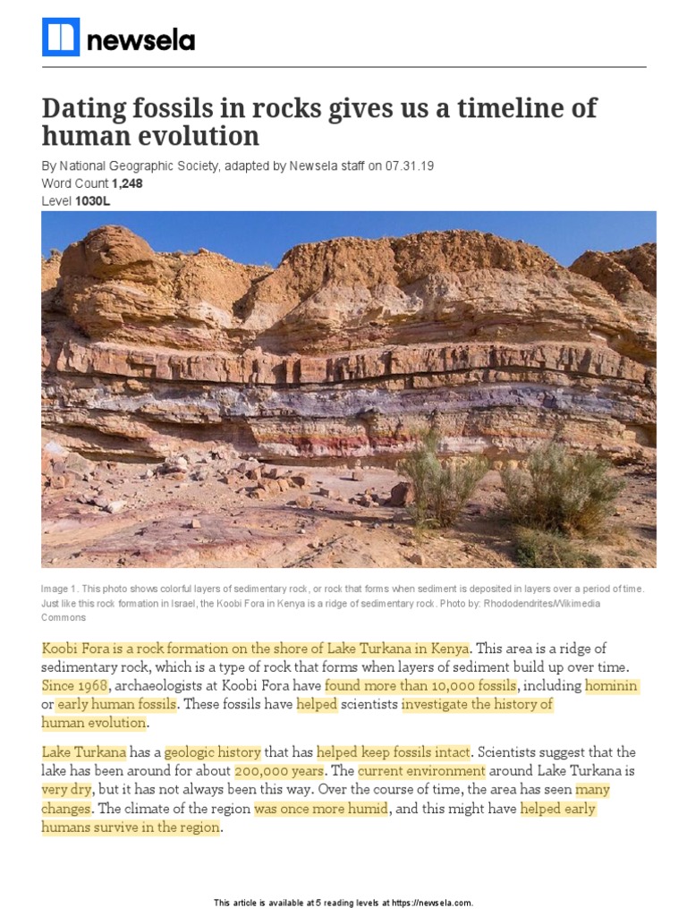 Dating Human Fossils at Koobi Fora | PDF | Fossil | Sedimentary Rock