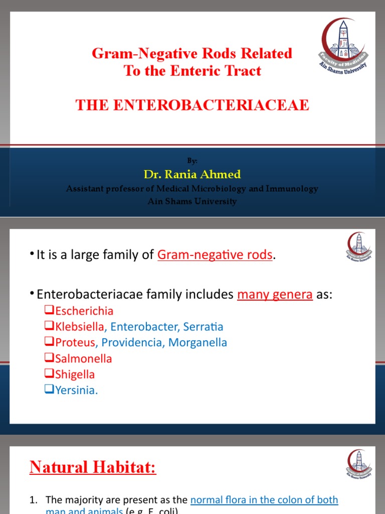 Gram-Negative Rods Related To The Enteric Tract The Enterobacteriaceae ...