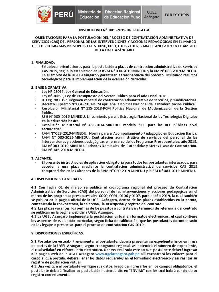 04 Instructivo 01 Postulacion Cas 2019 | PDF | Business | Educación avanzada