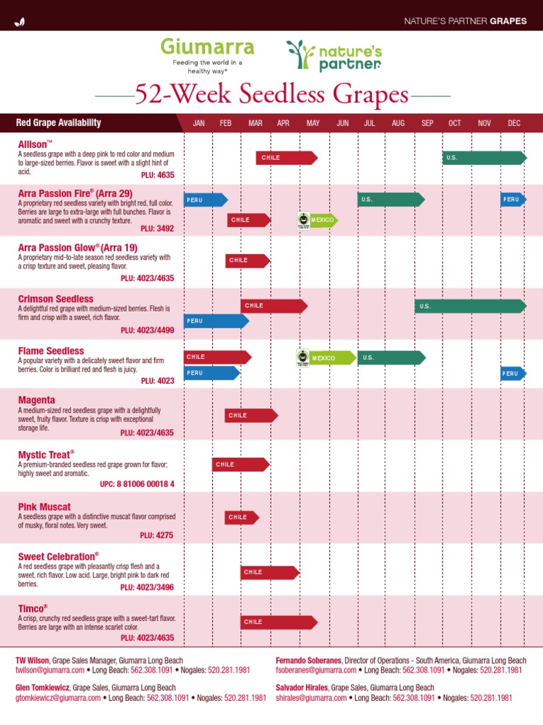 52-Week Seedless Grapes: Allison | Download Free PDF | Grape | Vitis