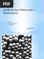 Cours Bactériologie | PDF | Bactérie | Cellule (Biologie)