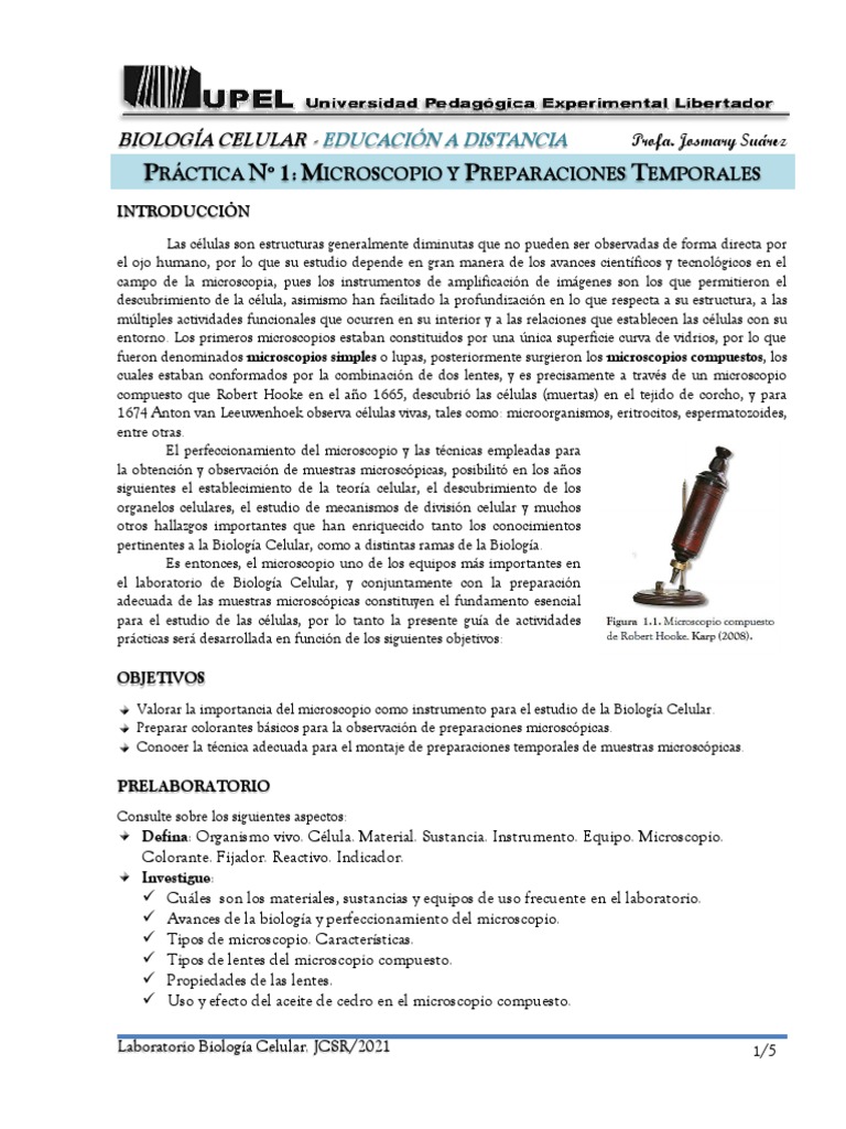 Preparación de muestras microscópicas y observación con microscopio ...