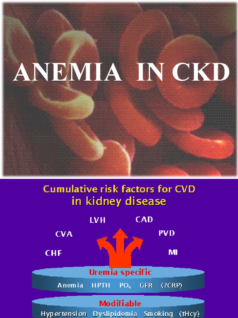Anemia Management in CKD Patients | PDF | Anemia | Chronic Kidney Disease