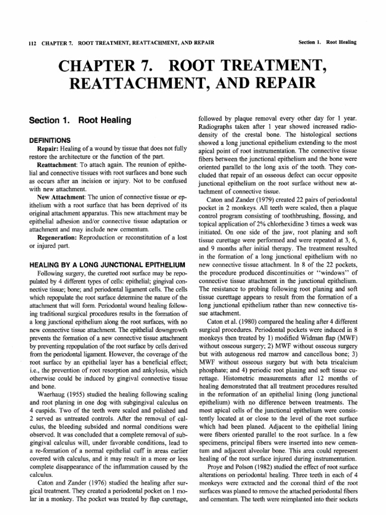 CHAPTER 7. Root Treatment, Reattachment, and Repair | PDF ...