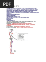 Pruebas Esenciales de Rodilla en Kinesiología | PDF | Rodilla ...