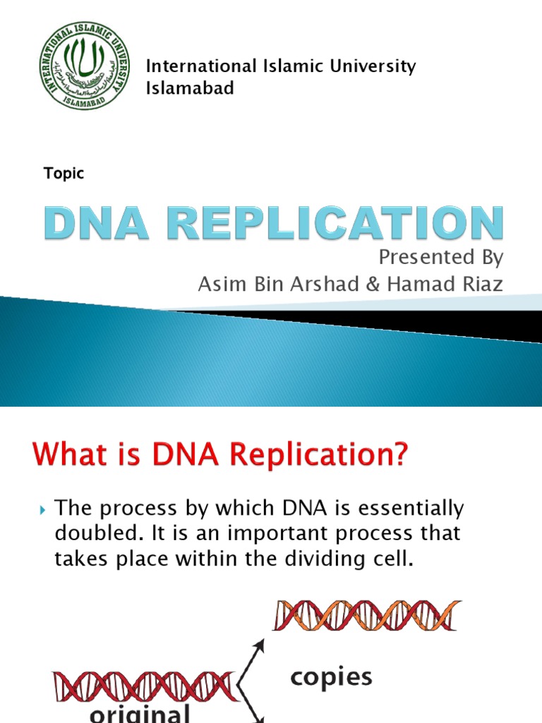 DNA Replication | PDF | Dna Replication | Primer (Molecular Biology)
