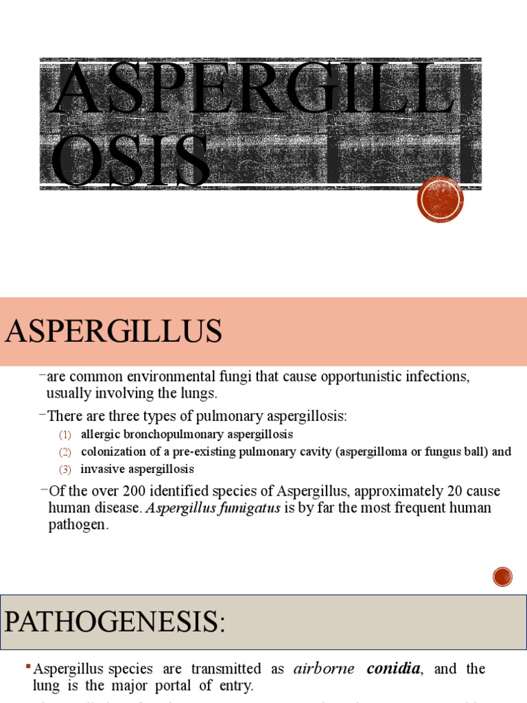 ASPERGILLOSIS | PDF | Aspergillus | Lung