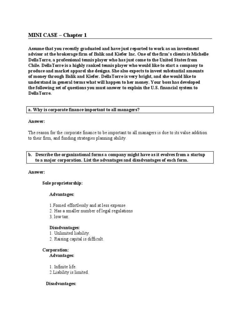 MINI CASE - Chapter 1 | Download Free PDF | Sole Proprietorship | Corporations