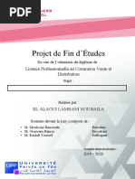 Pfe (E-COMMERCE AU MAROC) 555 | PDF