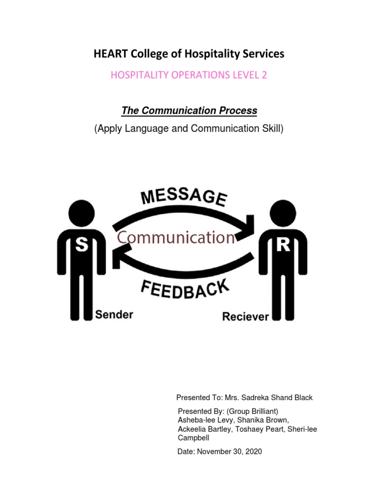Communication Process Project Group Brilliant | PDF | Nonverbal ...