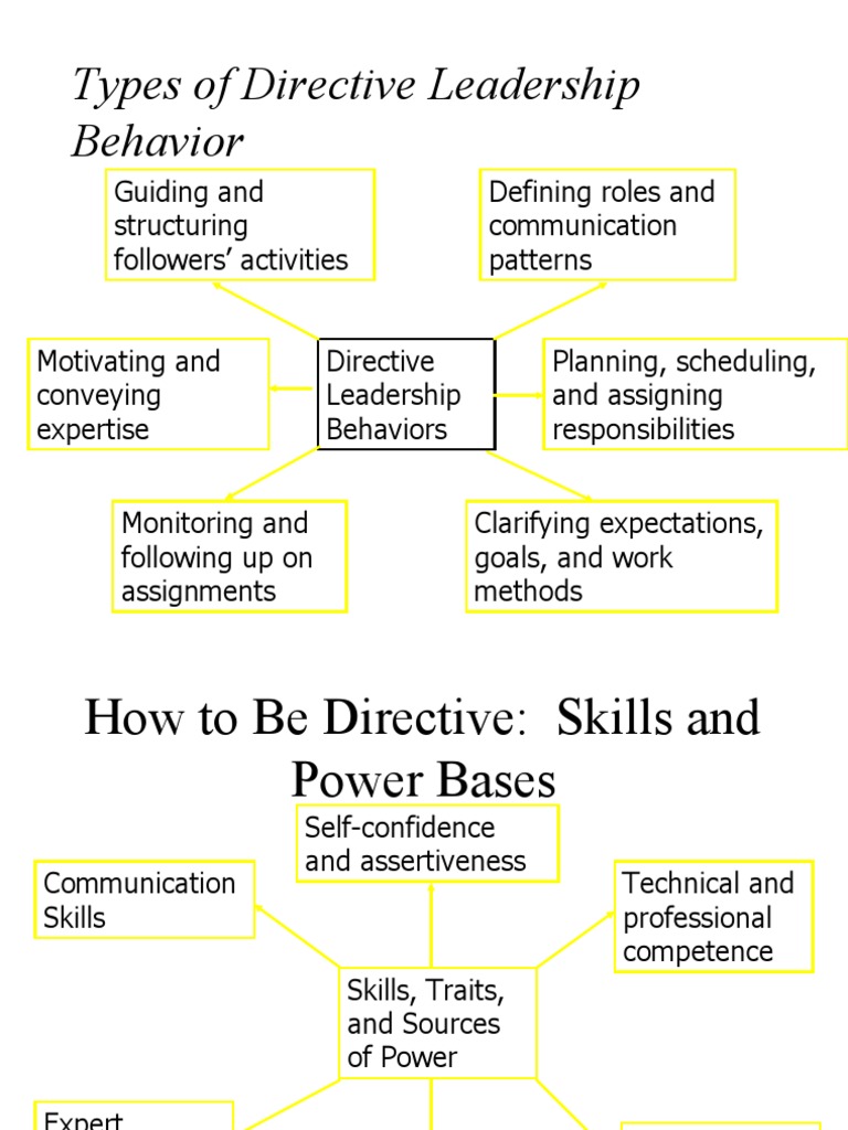 Types of Directive Leadership Behavior | PDF | Competence (Human ...