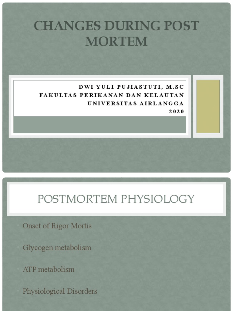 Changes During Post Mortem | PDF | Decomposition | Enzyme