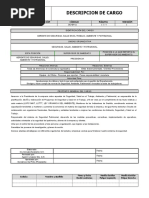 Formato Perfil Segurista para Obra | PDF