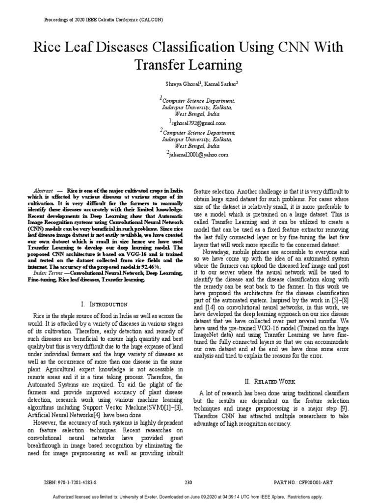 Rice Leaf Disease Detection with CNN | PDF | Deep Learning | Applied ...