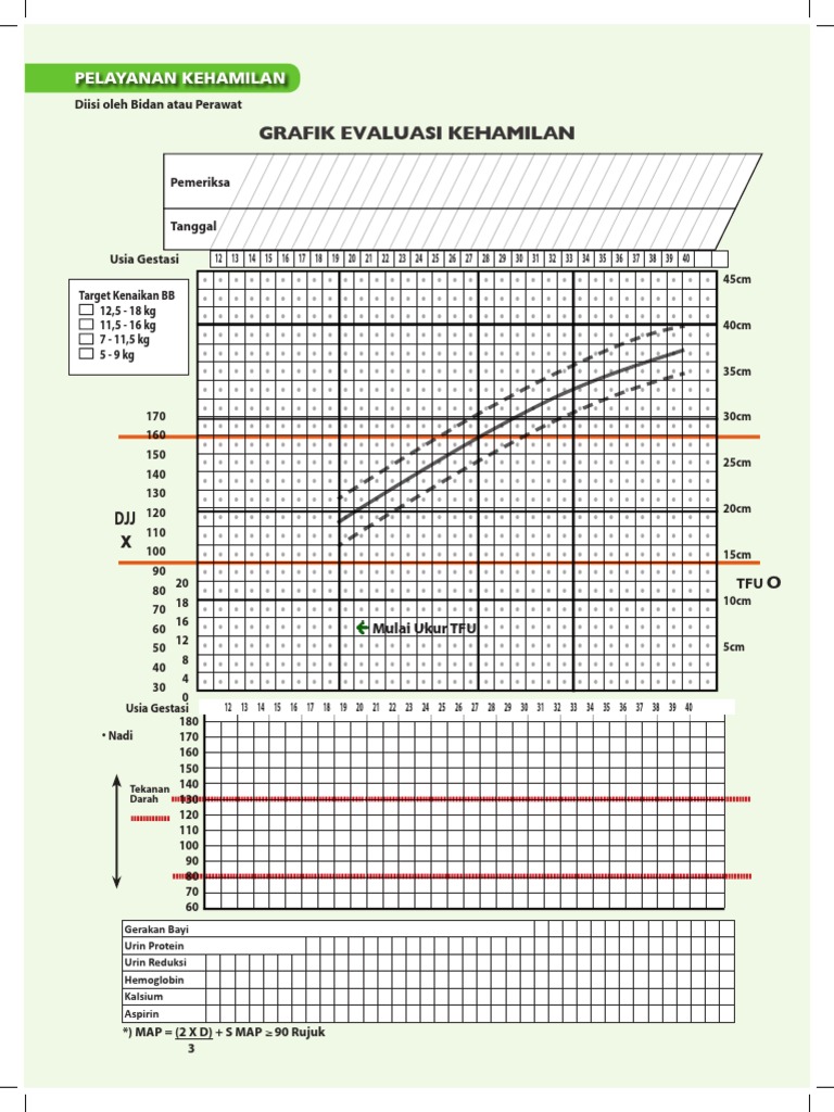 Lampiran Grafik Evaluasi Kehamilan Baru | PDF