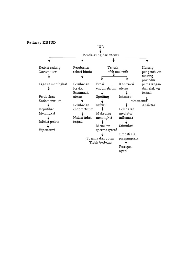 Pathway KB IUD | PDF