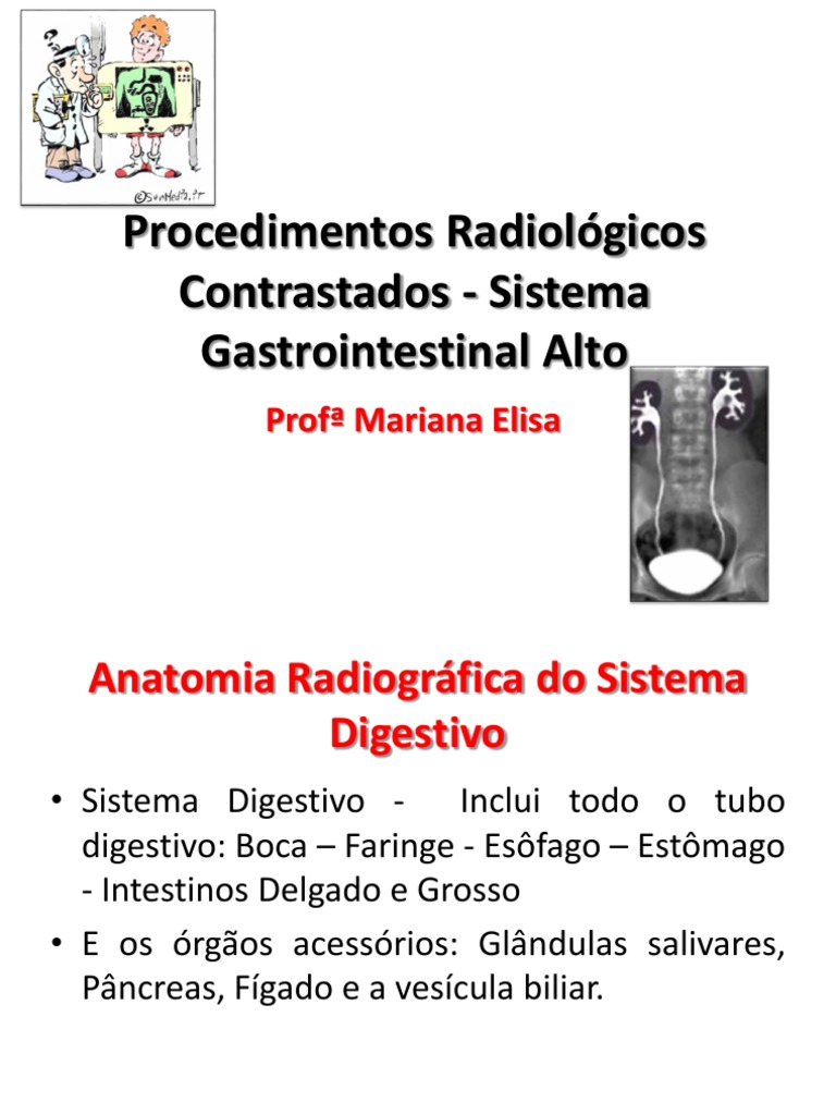 Exames Contrastados do Trato Digestivo Alto | PDF | Esôfago | Sistema ...