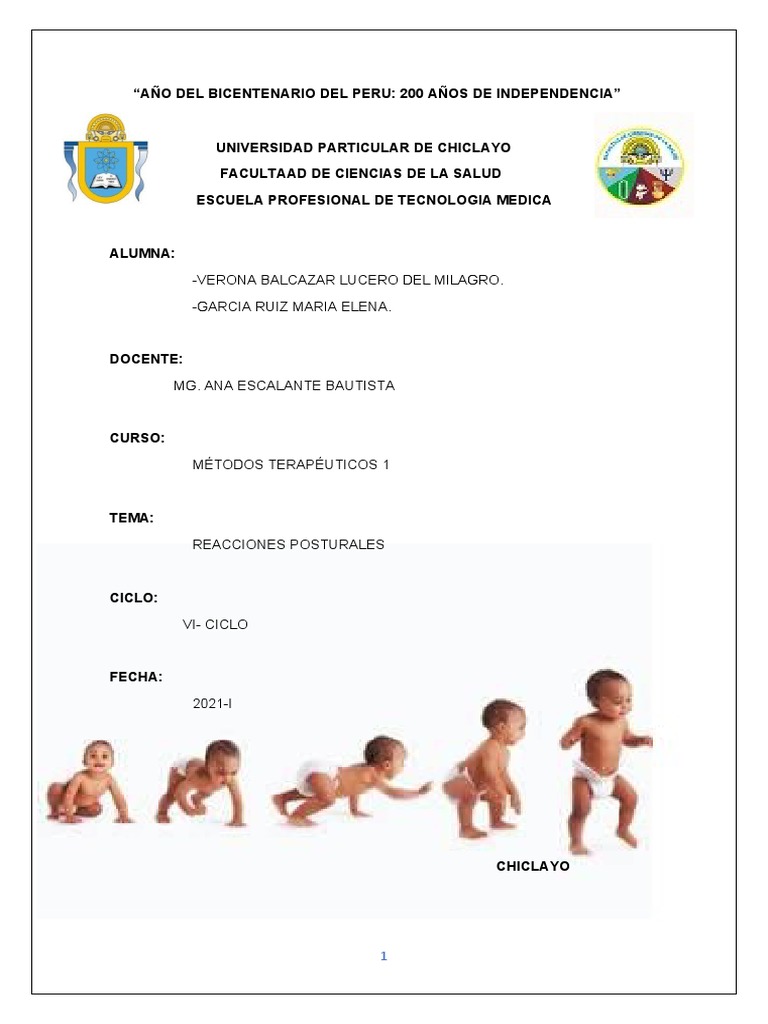 Reacciones Posturales | PDF | Cerebro | Músculo