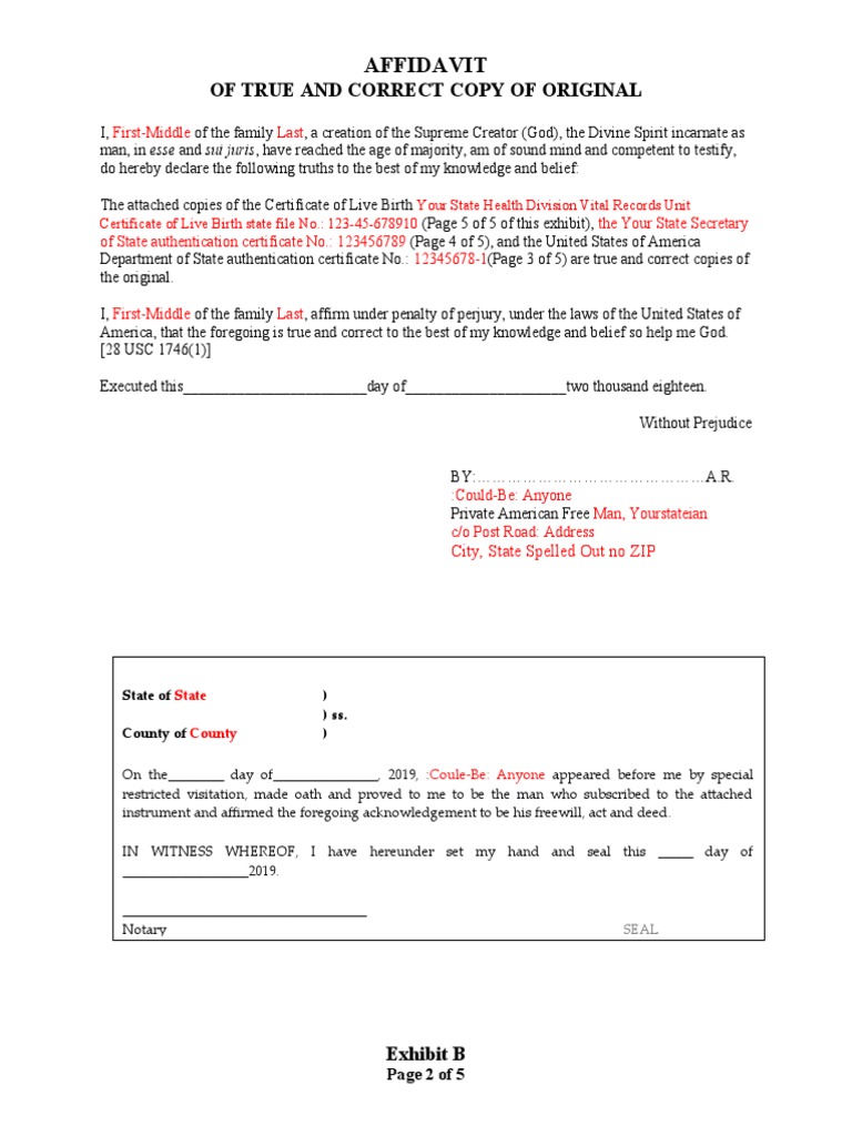 Affidavit of True Copy Declaration | PDF