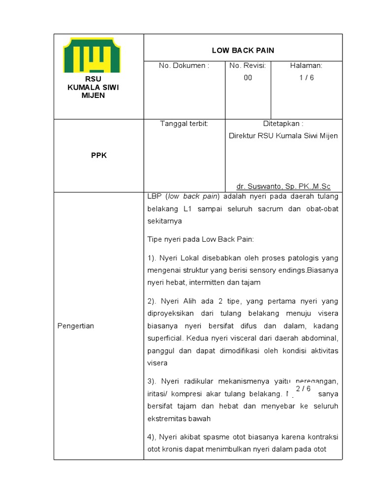 Panduan Diagnostik Low Back Pain | PDF