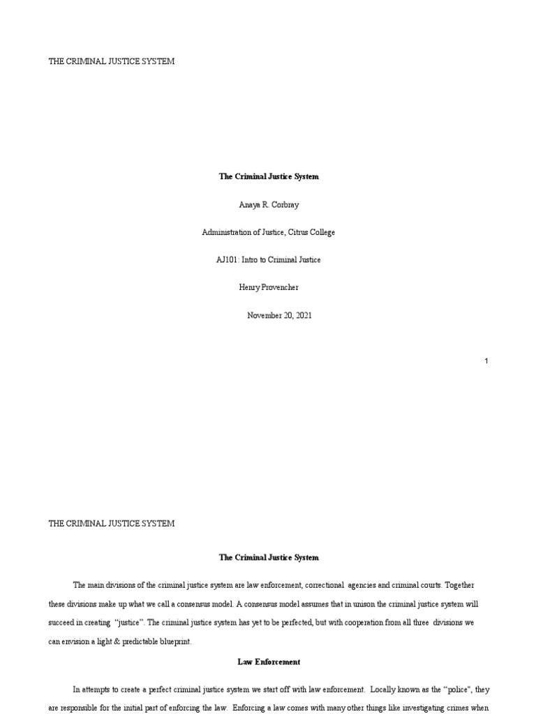 Apa Style Paper Example | PDF | Probation | Arrest