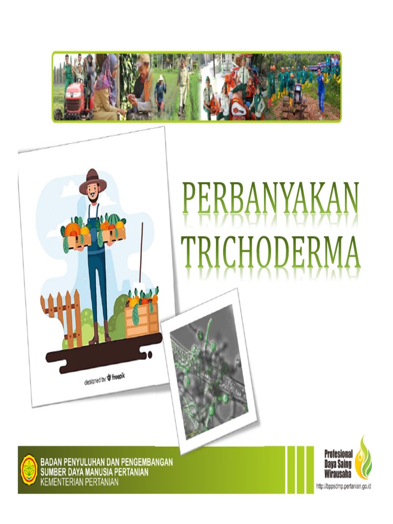 Bahan Tayang - Perbanyakan Trichoderma | PDF