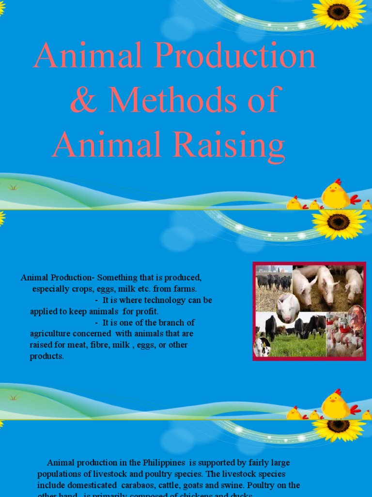 Overview of Animal Production in the Philippines | PDF | Livestock ...