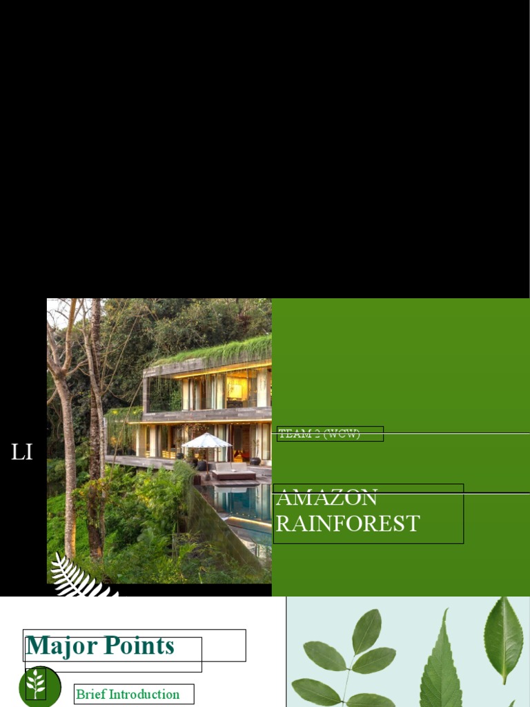 Amazon Rainforest | PDF